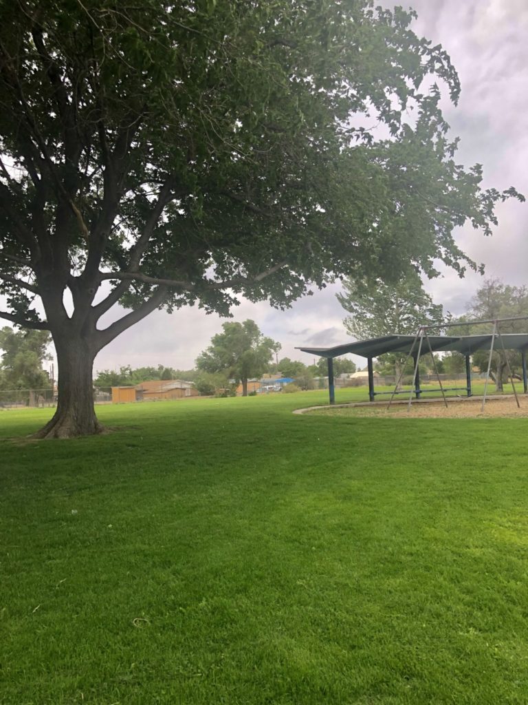 Guide to Parks in the Albuquerque Area