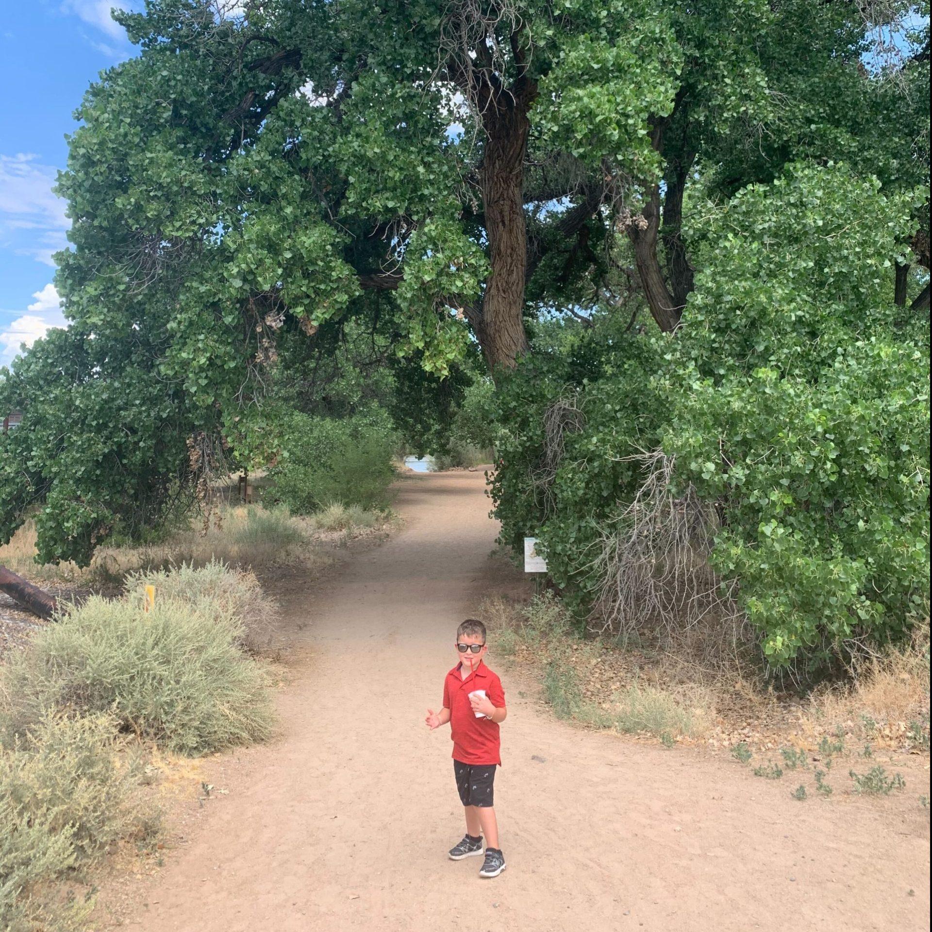 Family-Friendly Hikes and Trails In and Around Albuquerque