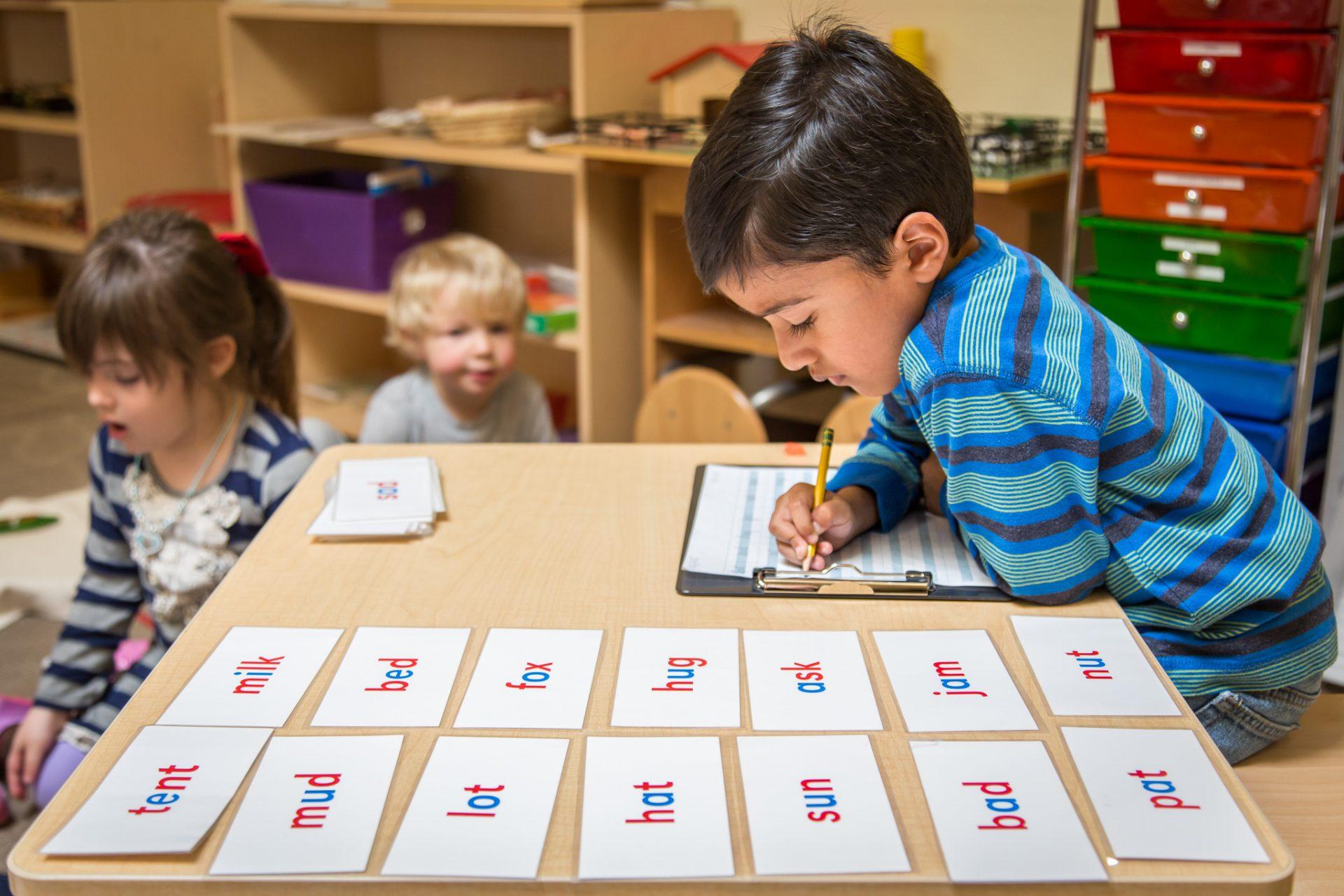 Why Montessori Learning Might Be a Good Fit for You